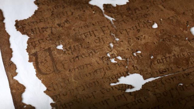 Discovery and Identification | National Museum of Ireland