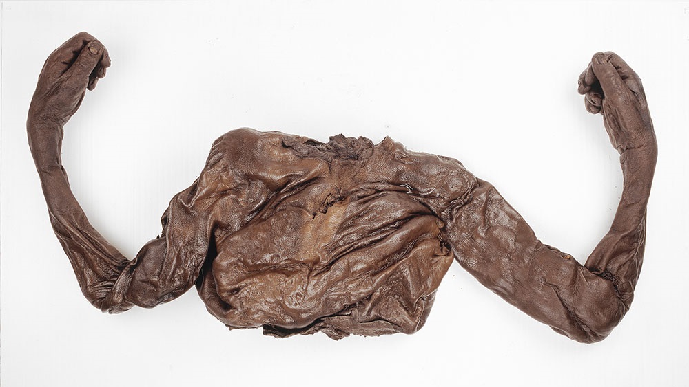 Bog Bodies Research Project | National Museum of Ireland