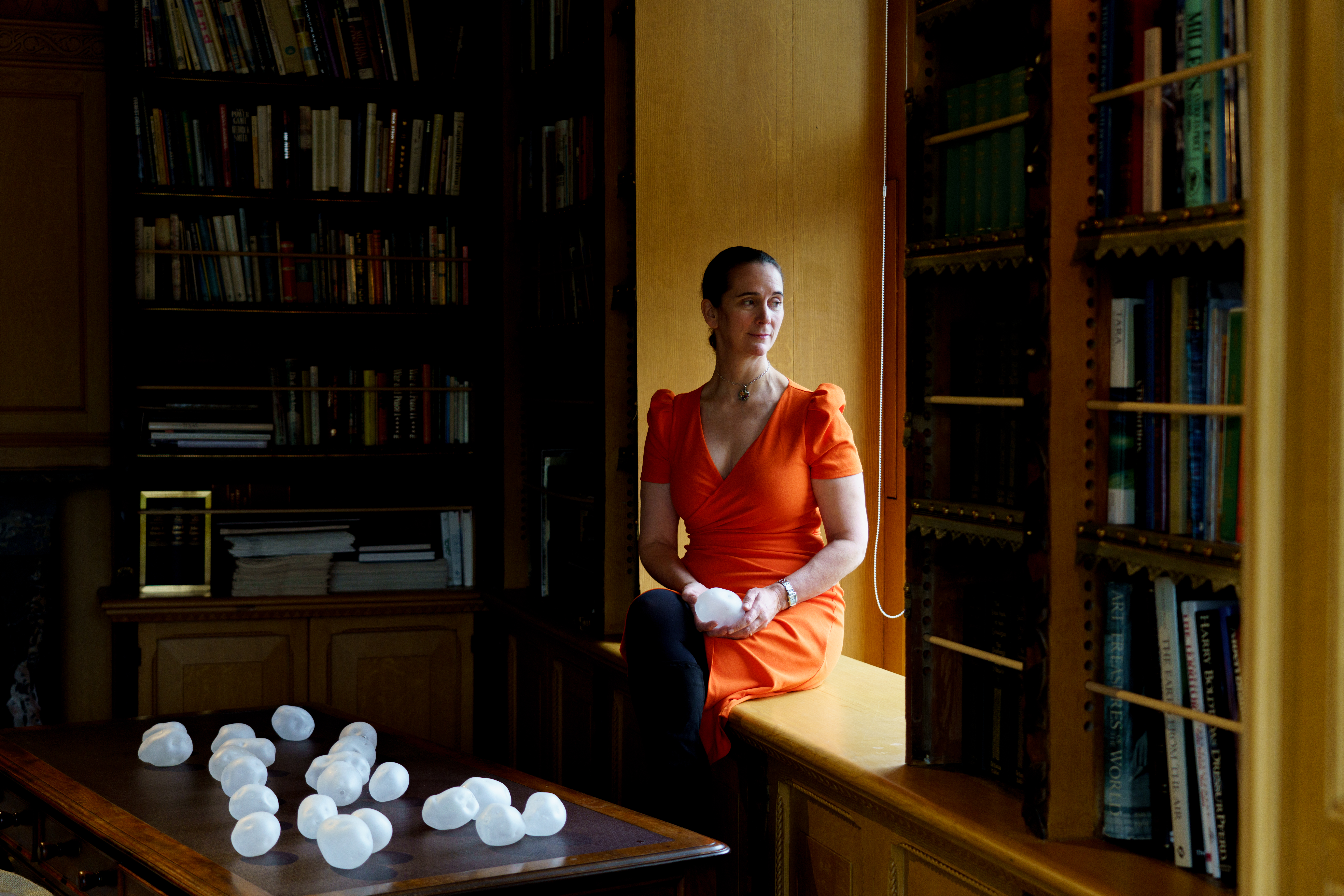 13 November, 2021: '1845: Memento Mori' by Paula Stokes | National ...