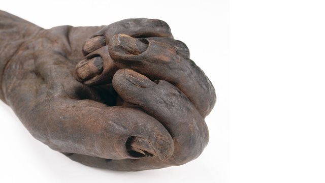 Kingship and Sacrifice | Archaeology | National Museum of Ireland