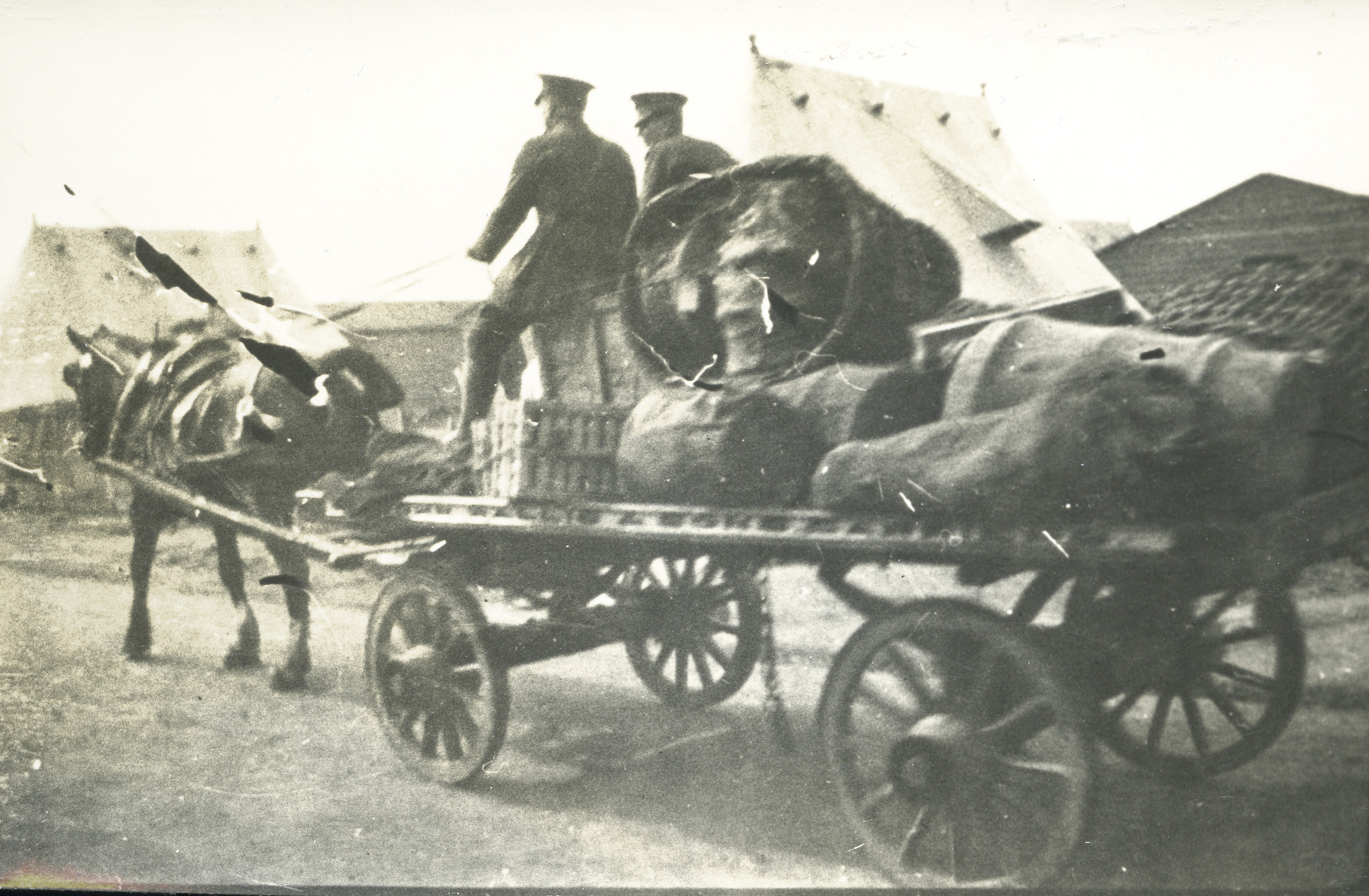 Rath Internment Camp, The Curragh, 1921 | National Museum of Ireland