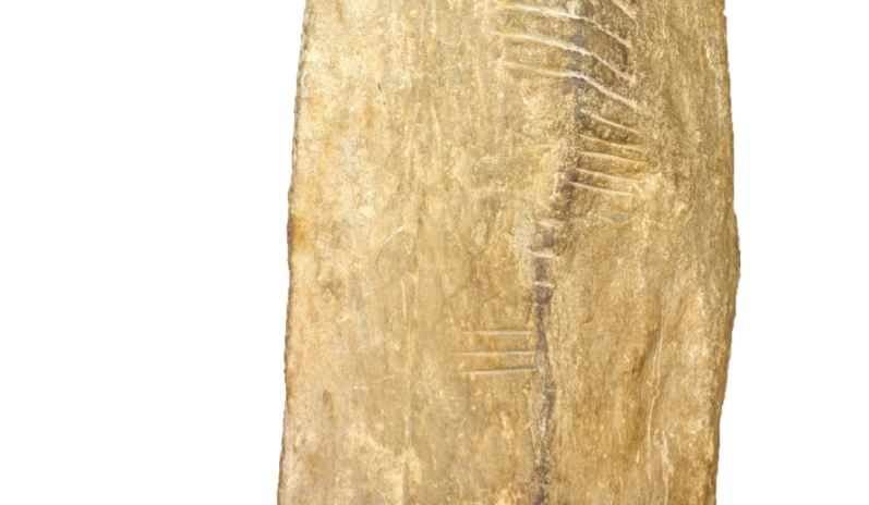 Activity Sheet: Ogham Code | Archaeology | National Museum of Ireland