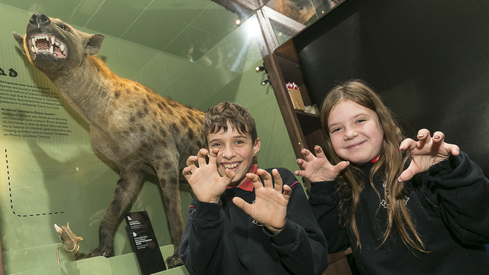 Gníomhaíochtaí Seomra Ranga: Éire san Oighearaois – Iontaisí Iontacha ...