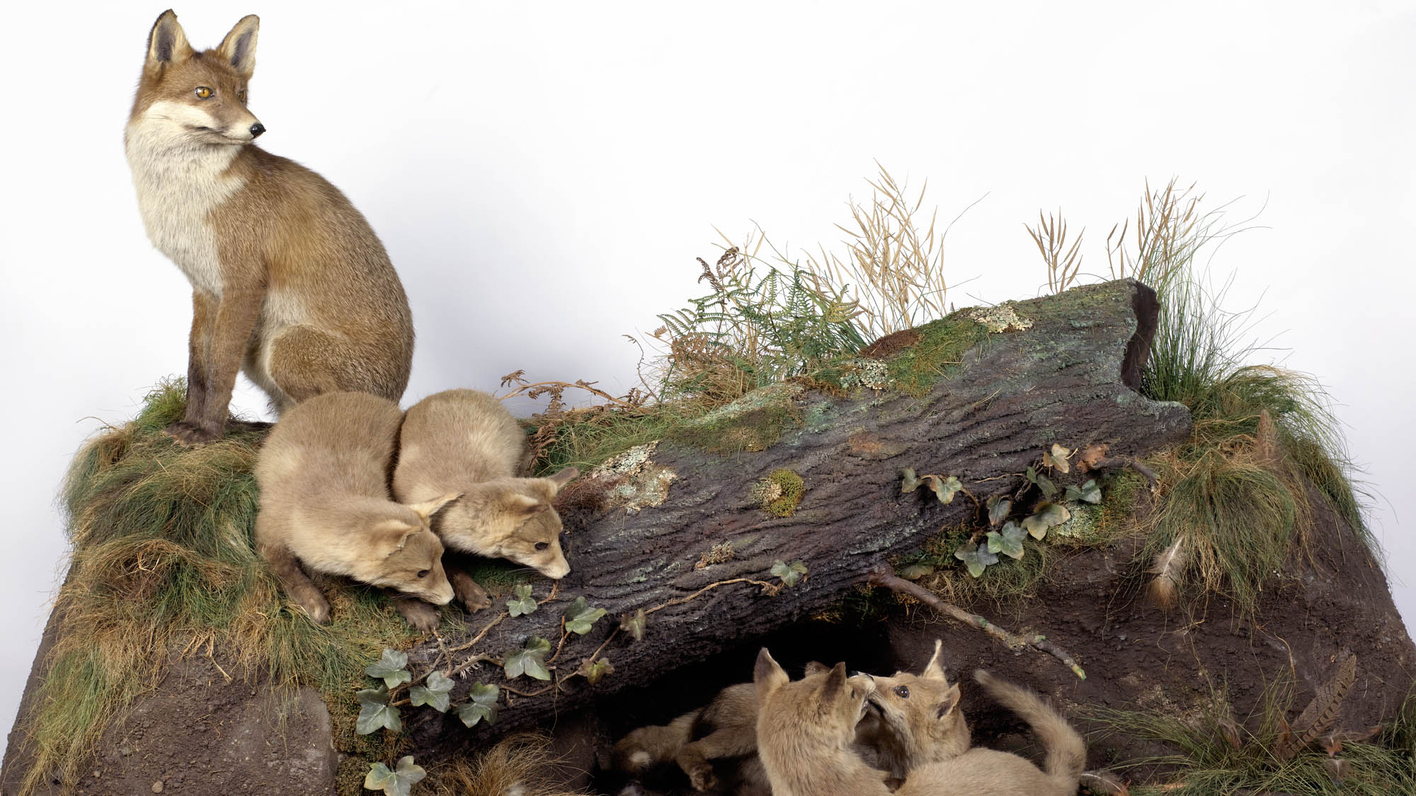 Gníomhaíochtaí Seomra Ranga: Cuardach Focal Séasúracha | Natural ...