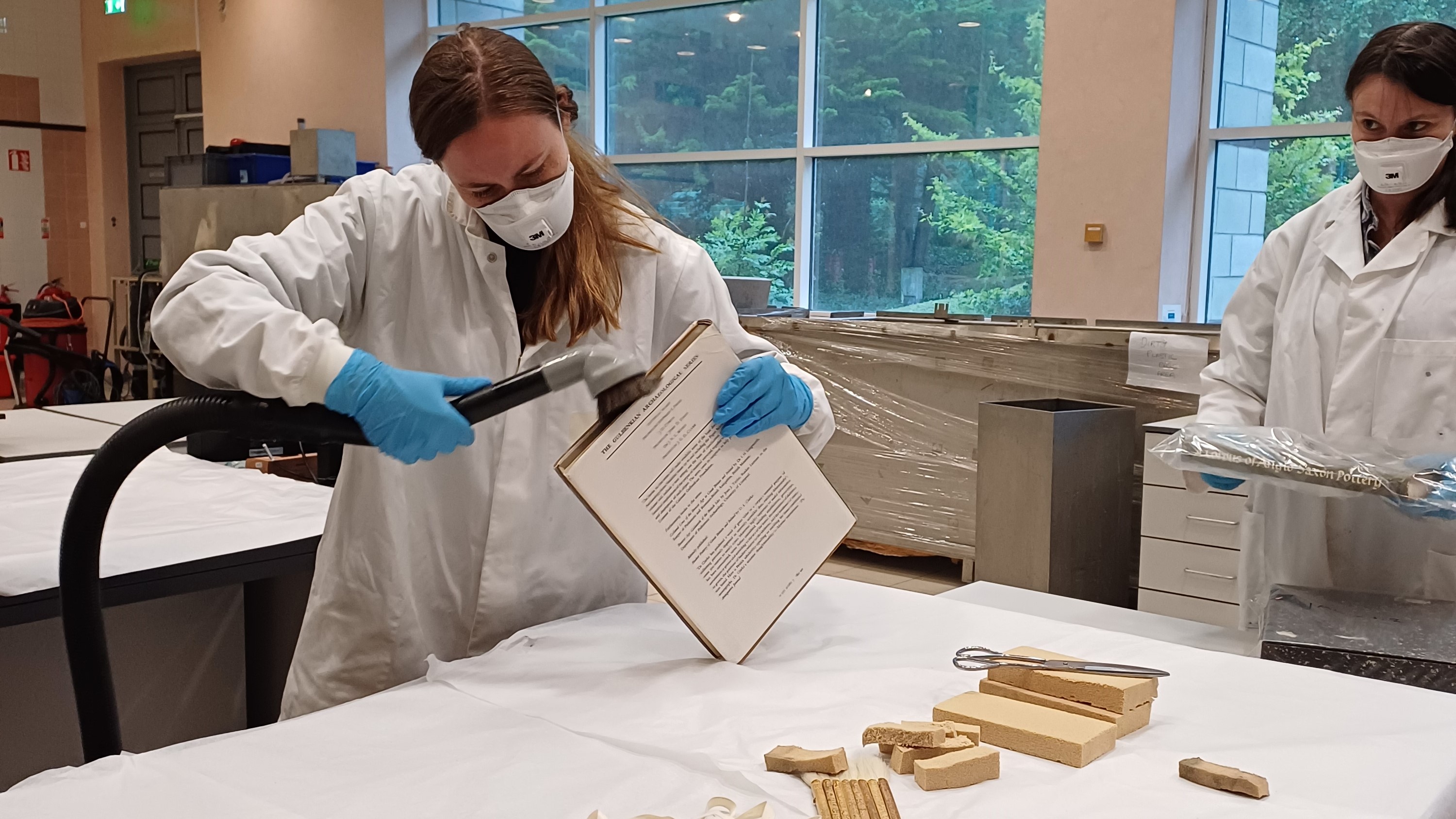 Work Placement at the National Museum of Ireland: A Transformative ...