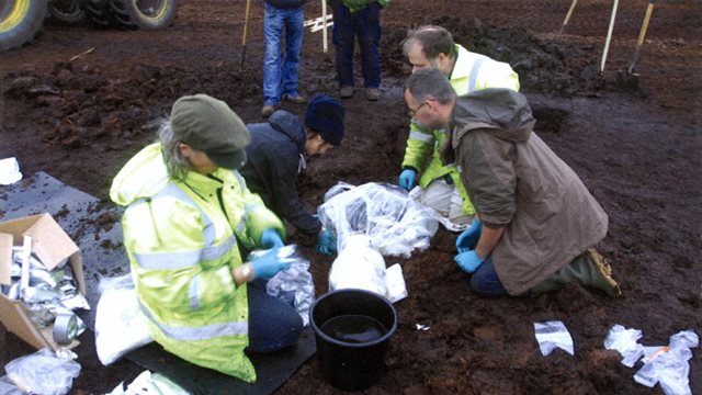 Cashel Man - Ireland's Oldest Bog Body | National Museum of Ireland